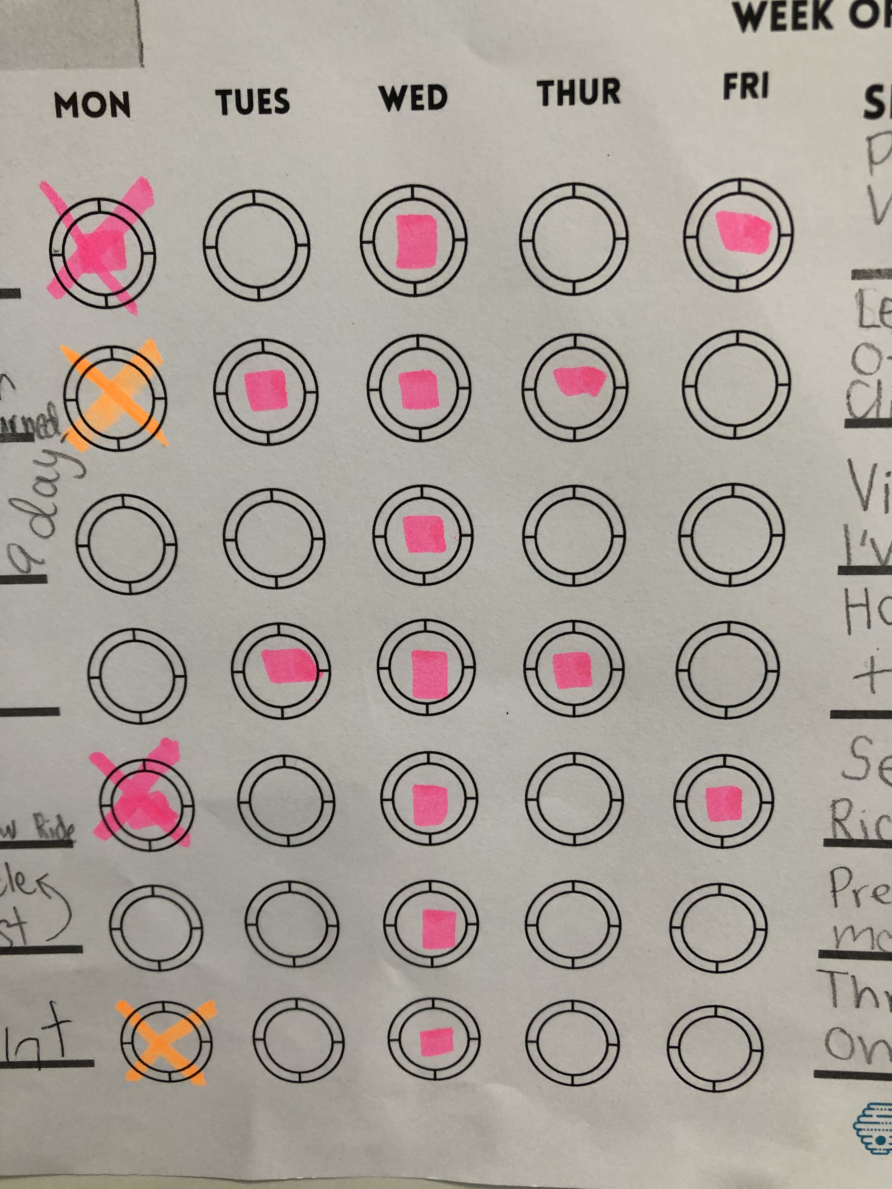 What happens when kids take ownership of their learning? – Our Thriving ...